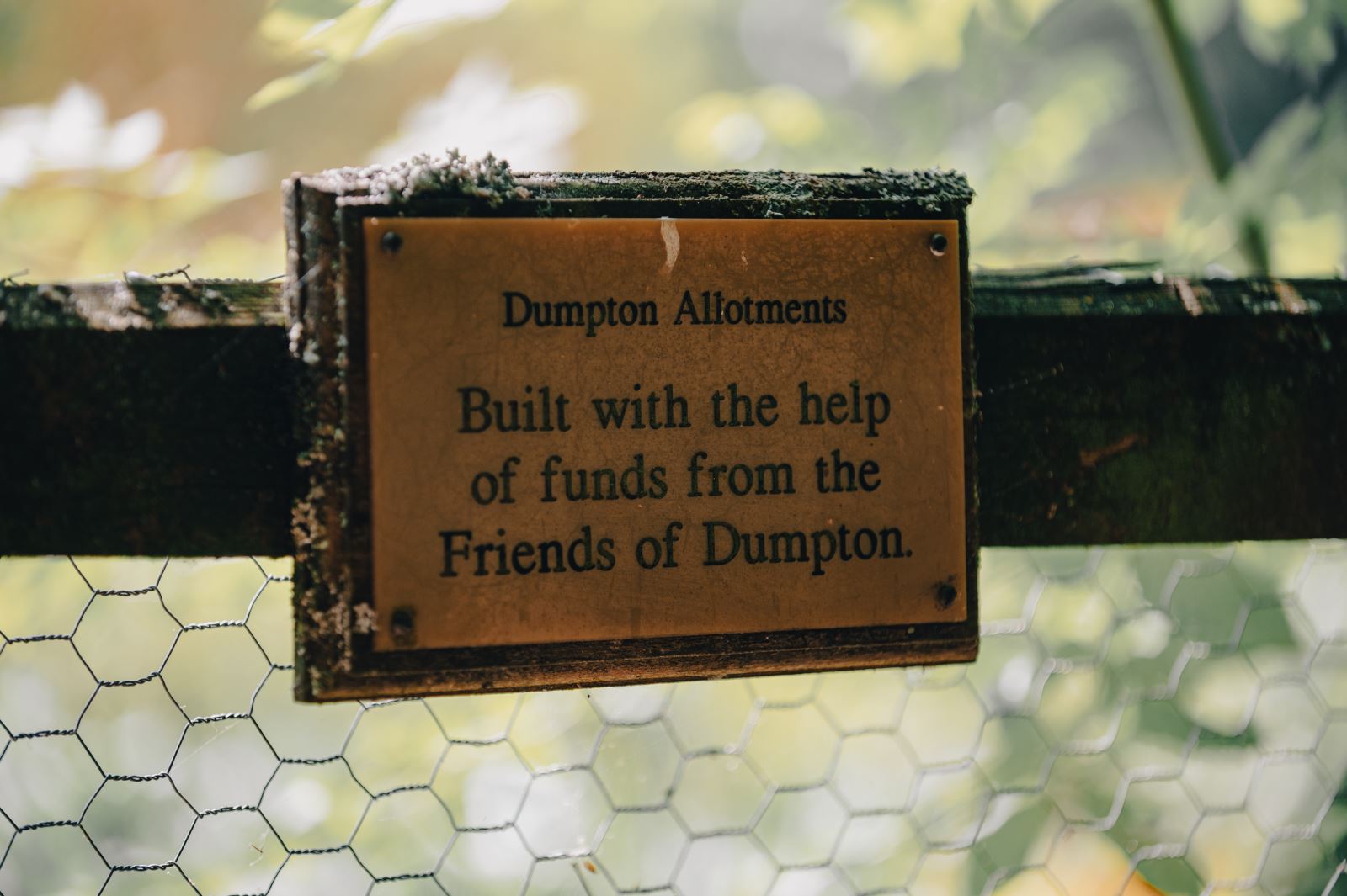 Dumpton Friends | Dumpton School